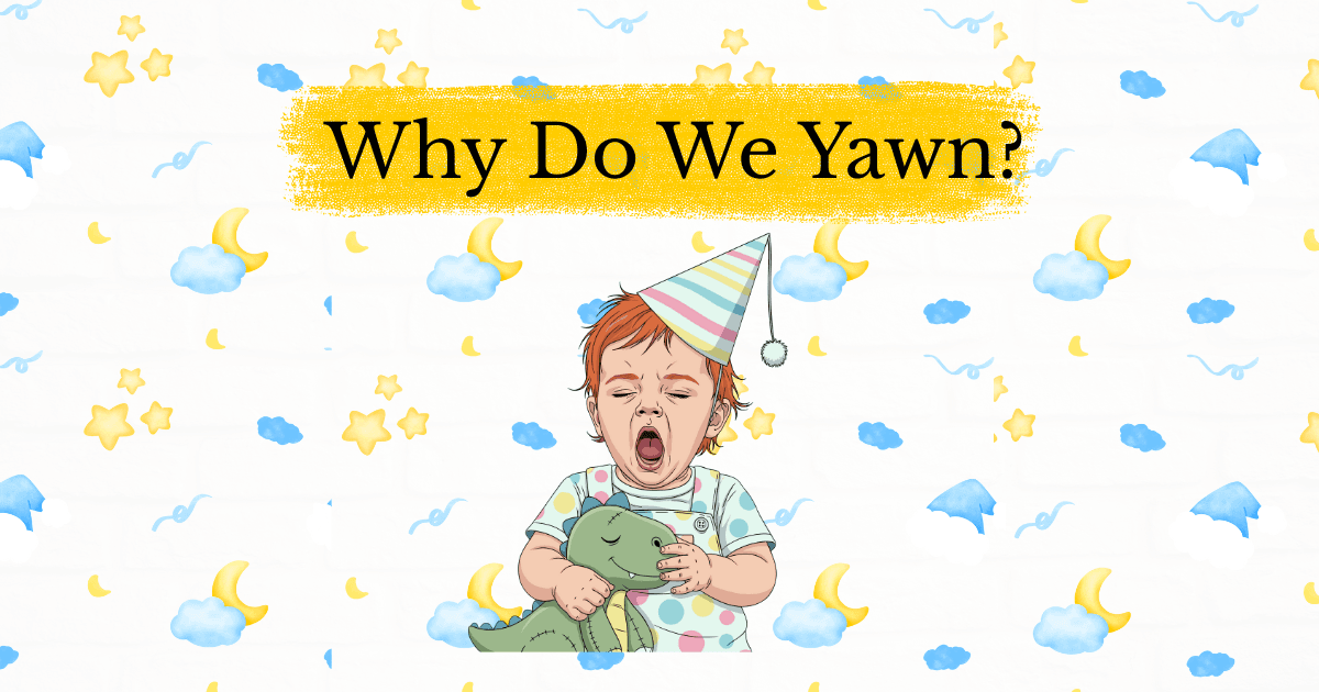 Why Do We Yawn? Simple Science Explanation for Kids